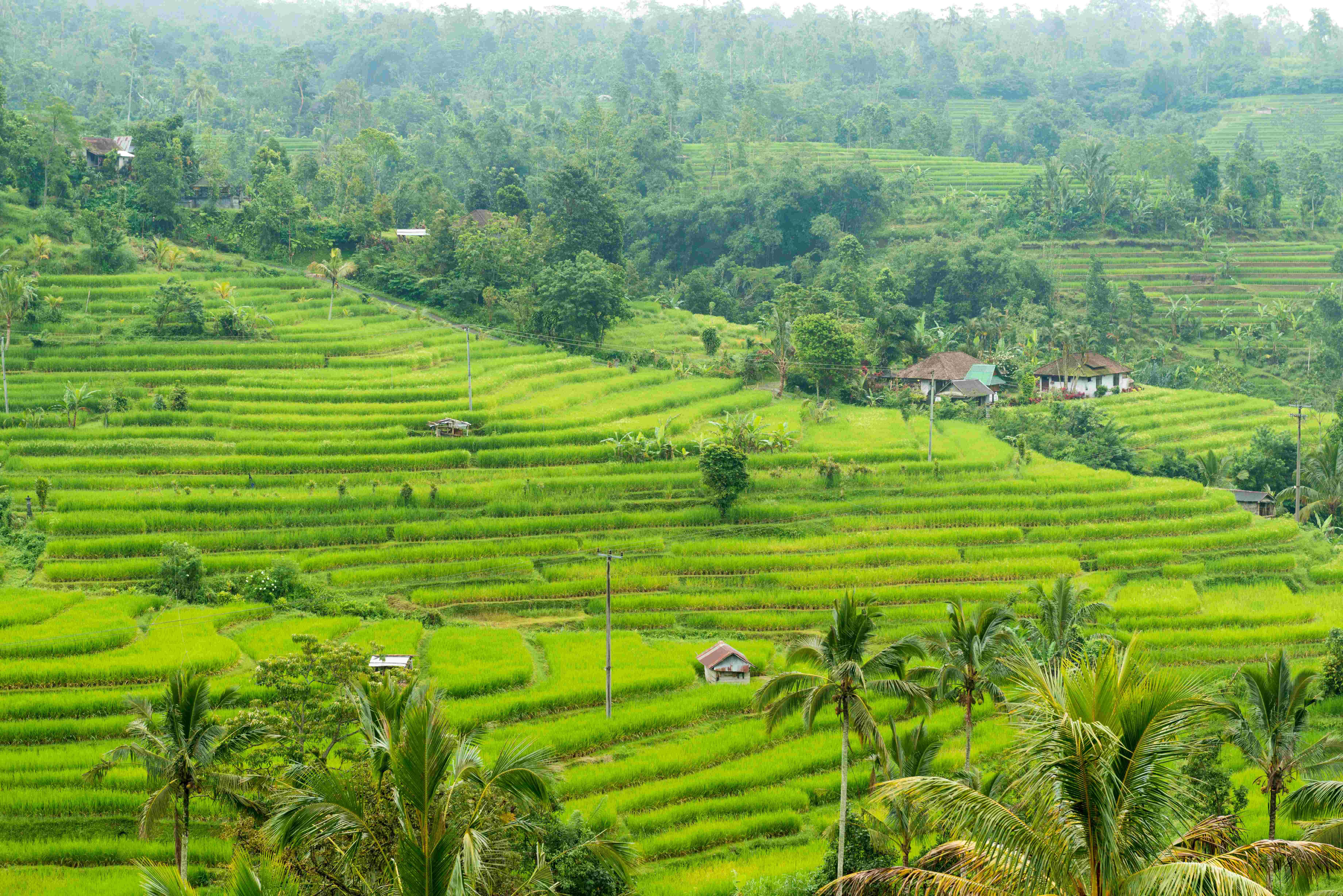 15 Fakta Tentang Garut | Infogarut.id