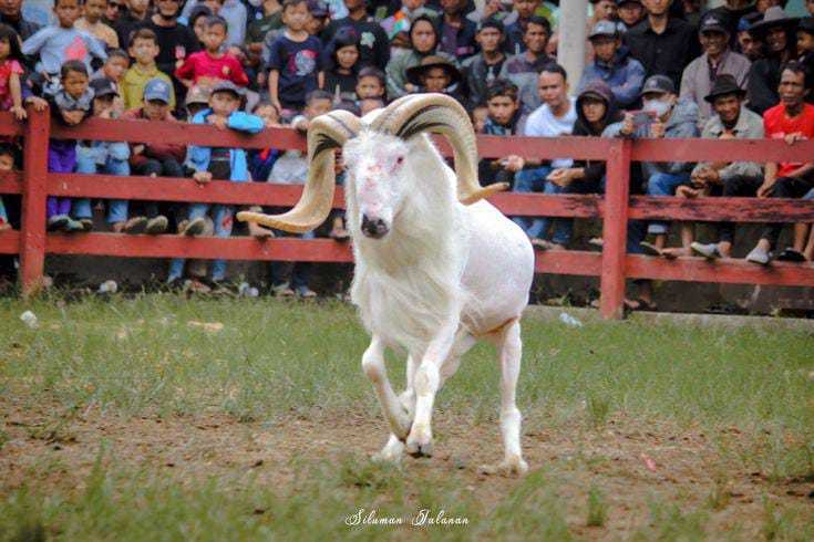 Melestarikan Budaya: Ini Kesenian Khas Garut yang Masih Eksis Hingga ...