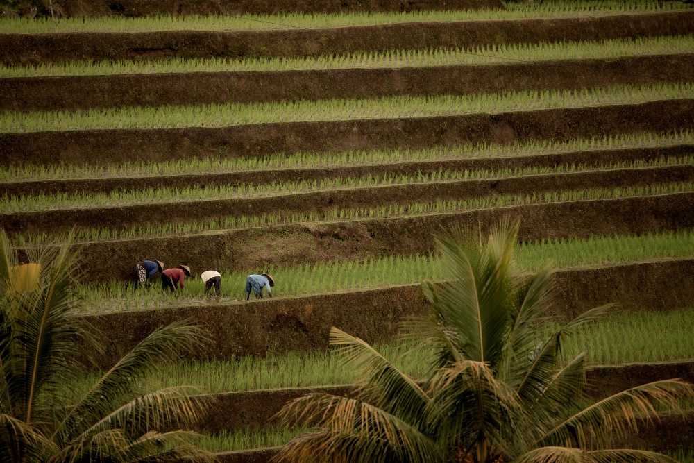 Menjawab Rasa Penasaran, Sebetulnya Garut dimana sih? | Infogarut.id