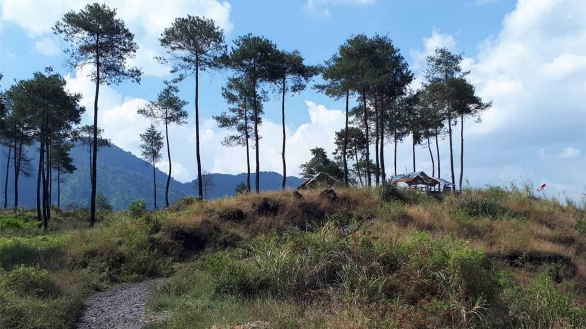 Mengintip Keindahan dan Ekosistem Unik Tegal Malaka, 'Negeri di Atas ...